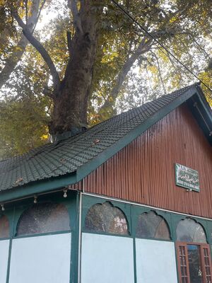 The Chinar Motif: Origins, Evolution, and Influence on Kashmiri Handicrafts